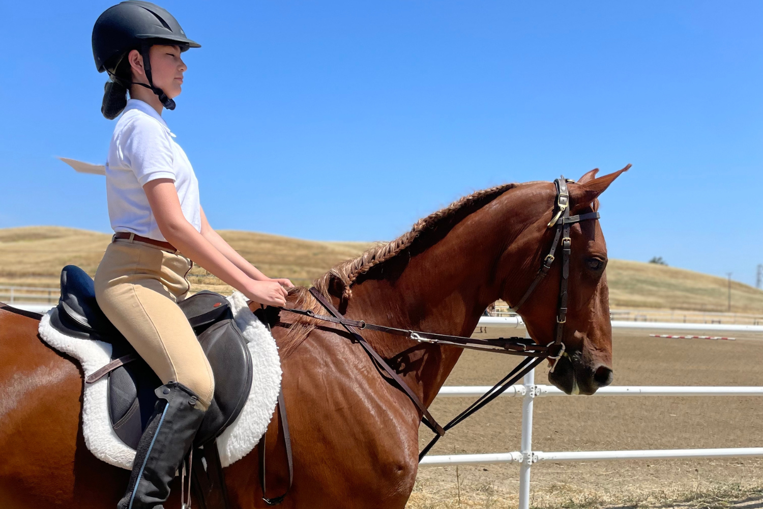 Riding Program - Cheval Foundation